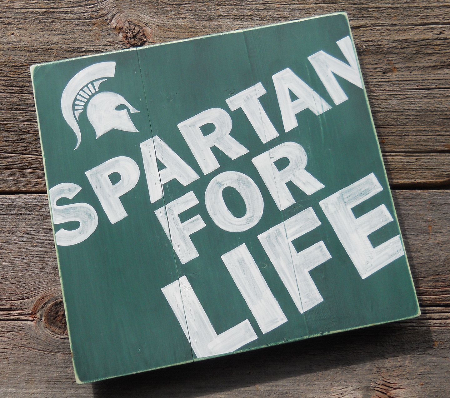 MSU Alumni Clubs - Charlotte Spartans